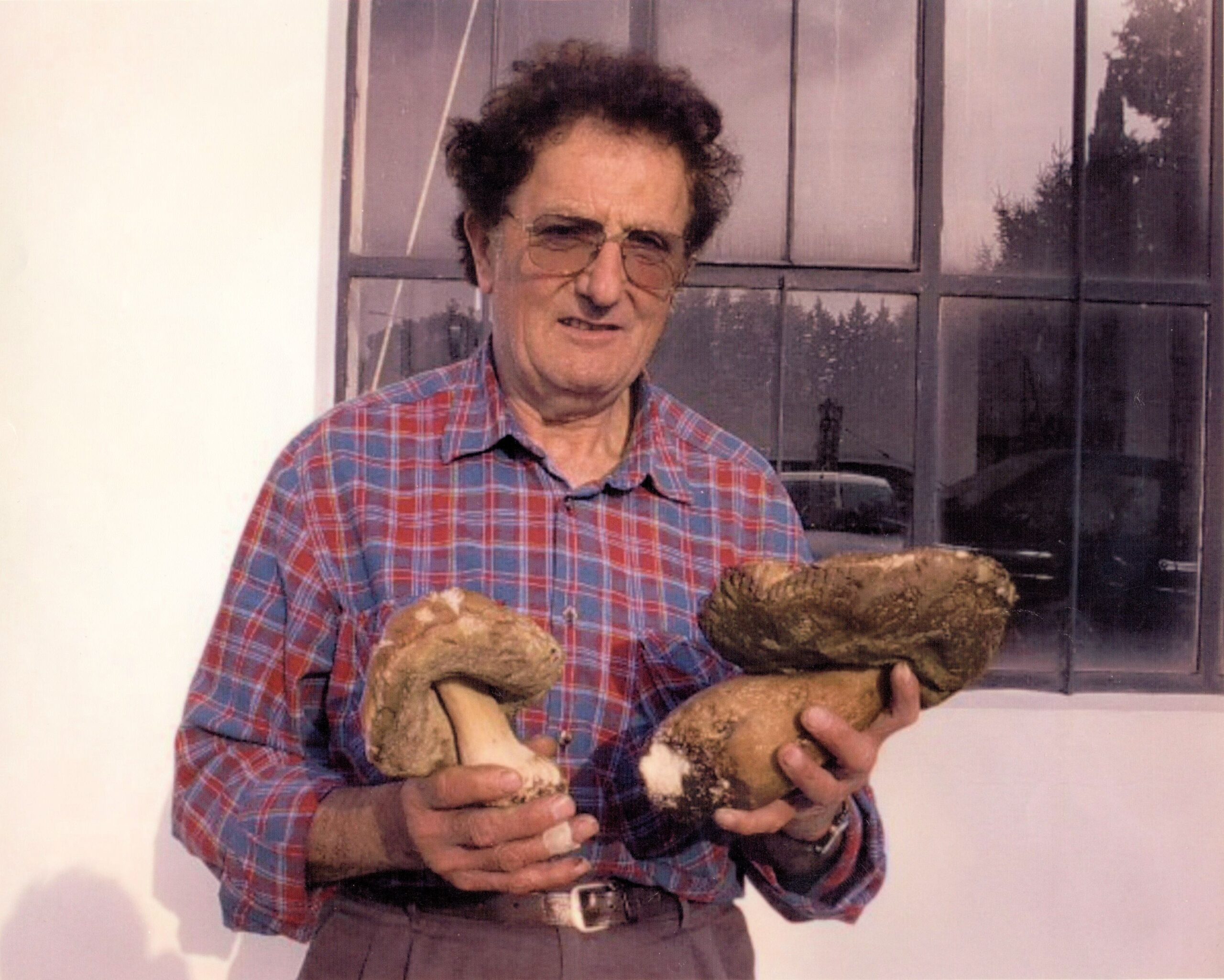 Fulvio Giovanni Stiffan - Cullere